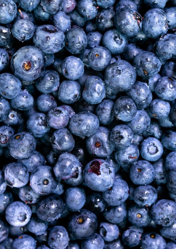 Seasonal Produce Guide: What to Buy Every Month | A Nourishing Plate