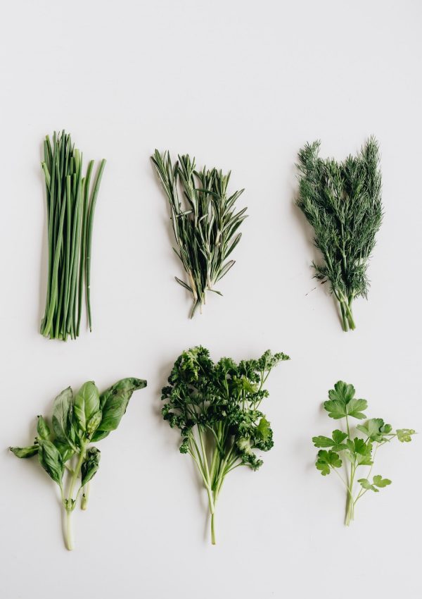 Seasonal Produce Guide: What to Buy Every Month | A Nourishing Plate