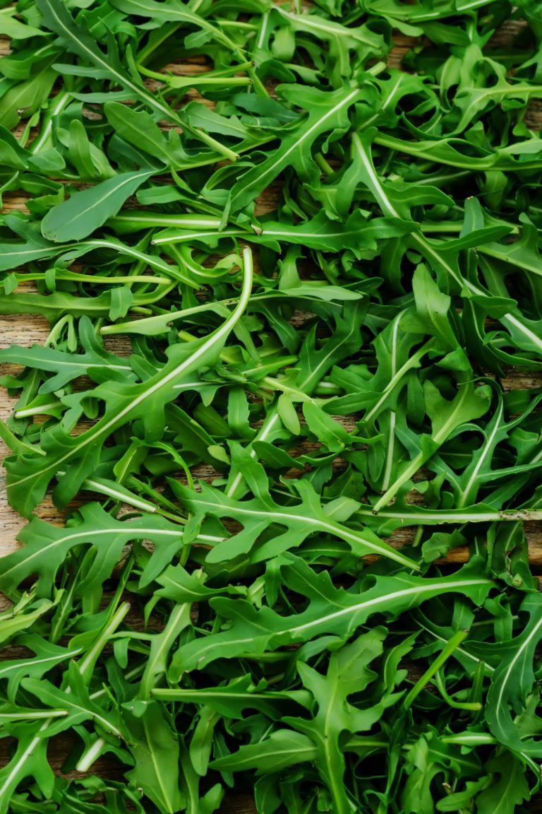 Arugula Substitute - A Nourishing Plate