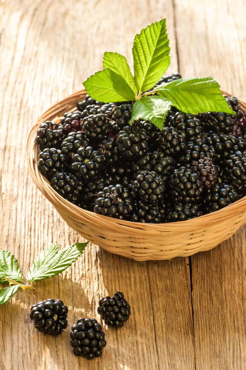 What Goes With Blackberries? - A Nourishing Plate