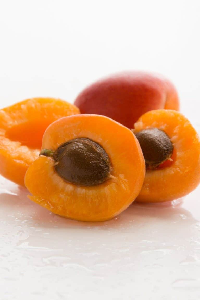 What Goes With Apricots? - A Nourishing Plate