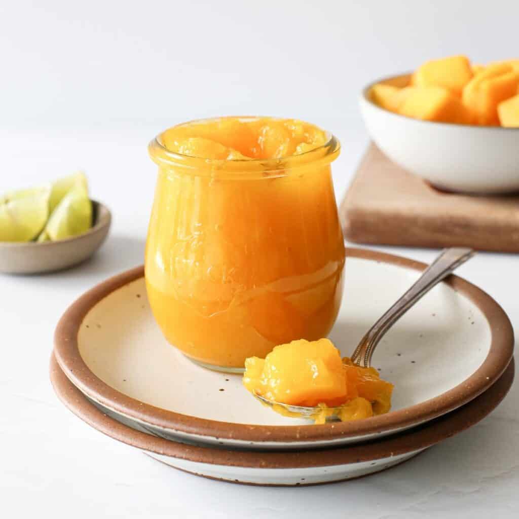 Mango Compote - A Nourishing Plate