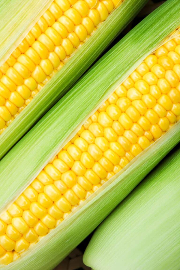 What Goes With Corn? - A Nourishing Plate