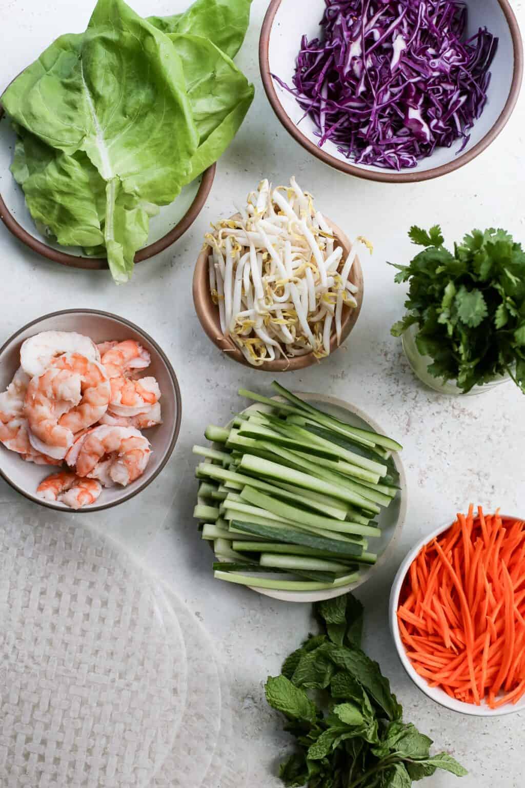Fresh Spring Rolls (With Rice Paper) - A Nourishing Plate