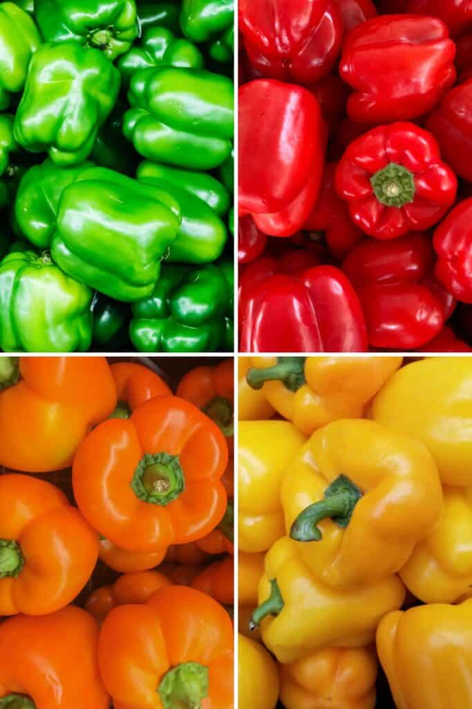 Bell Pepper Substitute: 8 Best Alternatives - A Nourishing Plate