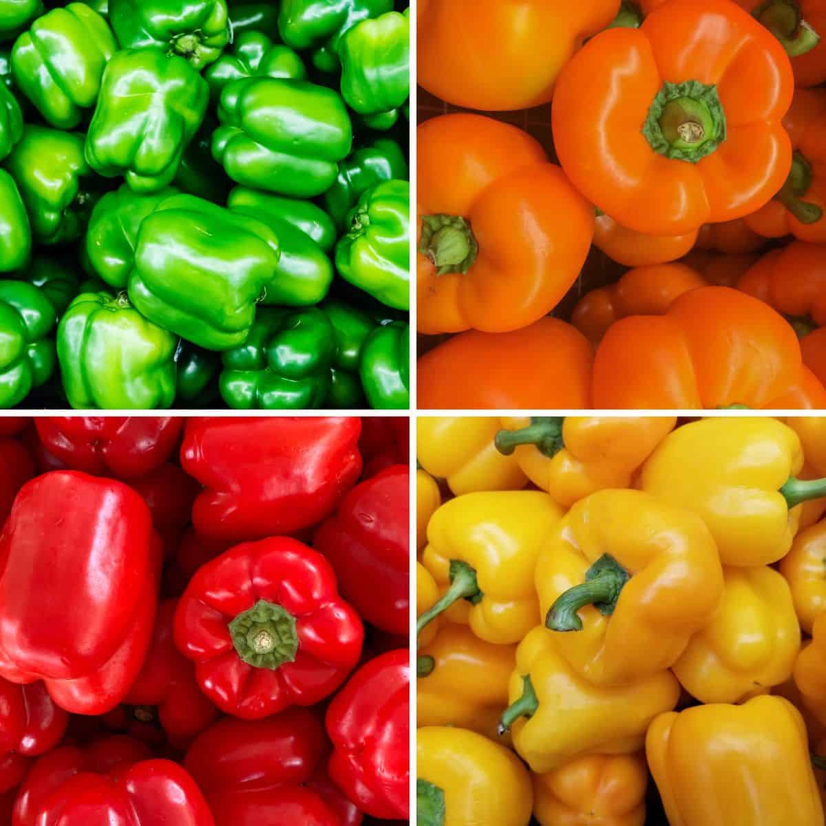 Bell Pepper Substitute: 8 Best Alternatives - A Nourishing Plate