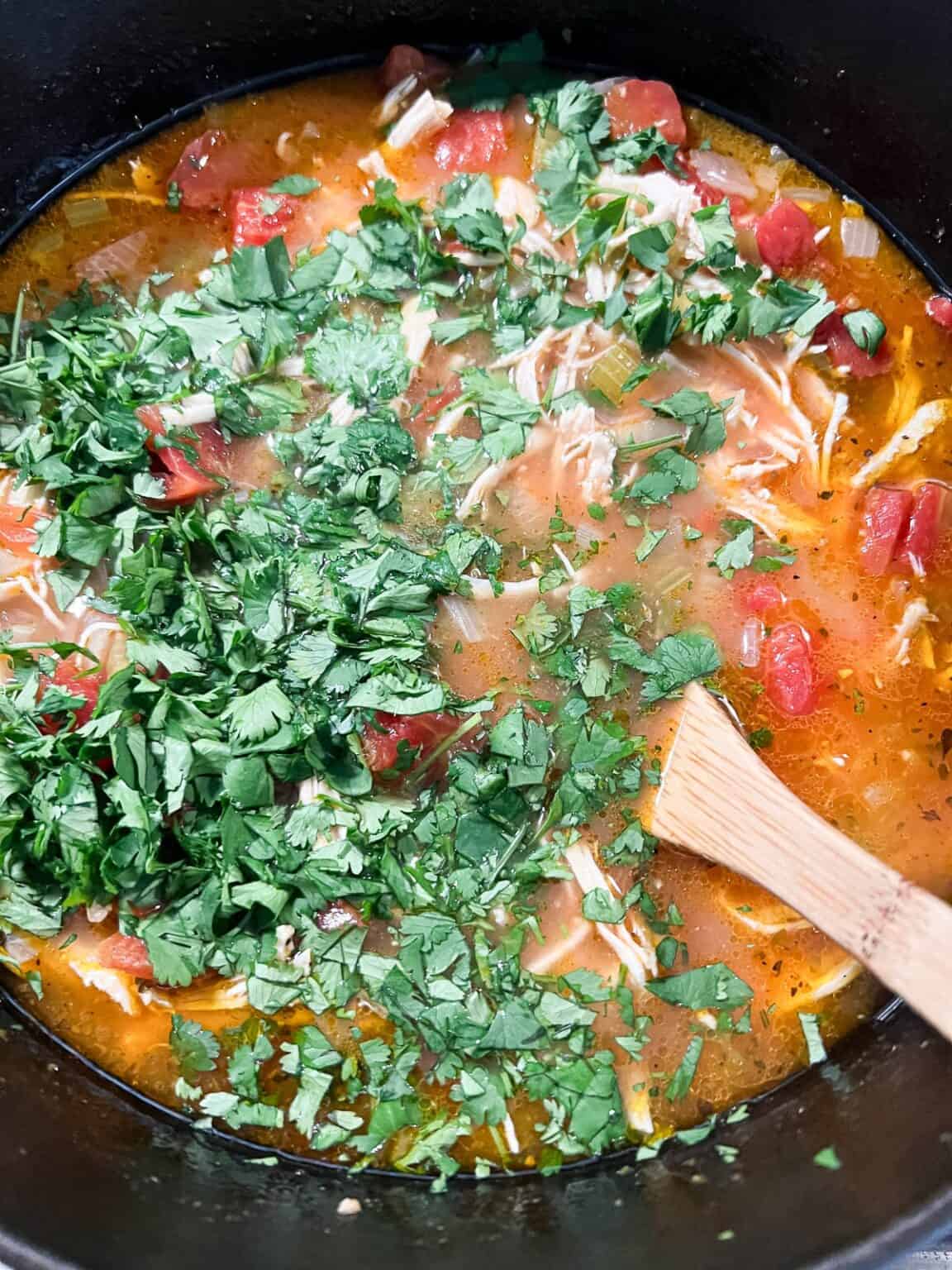 Chicken Cilantro Lime Soup - A Nourishing Plate