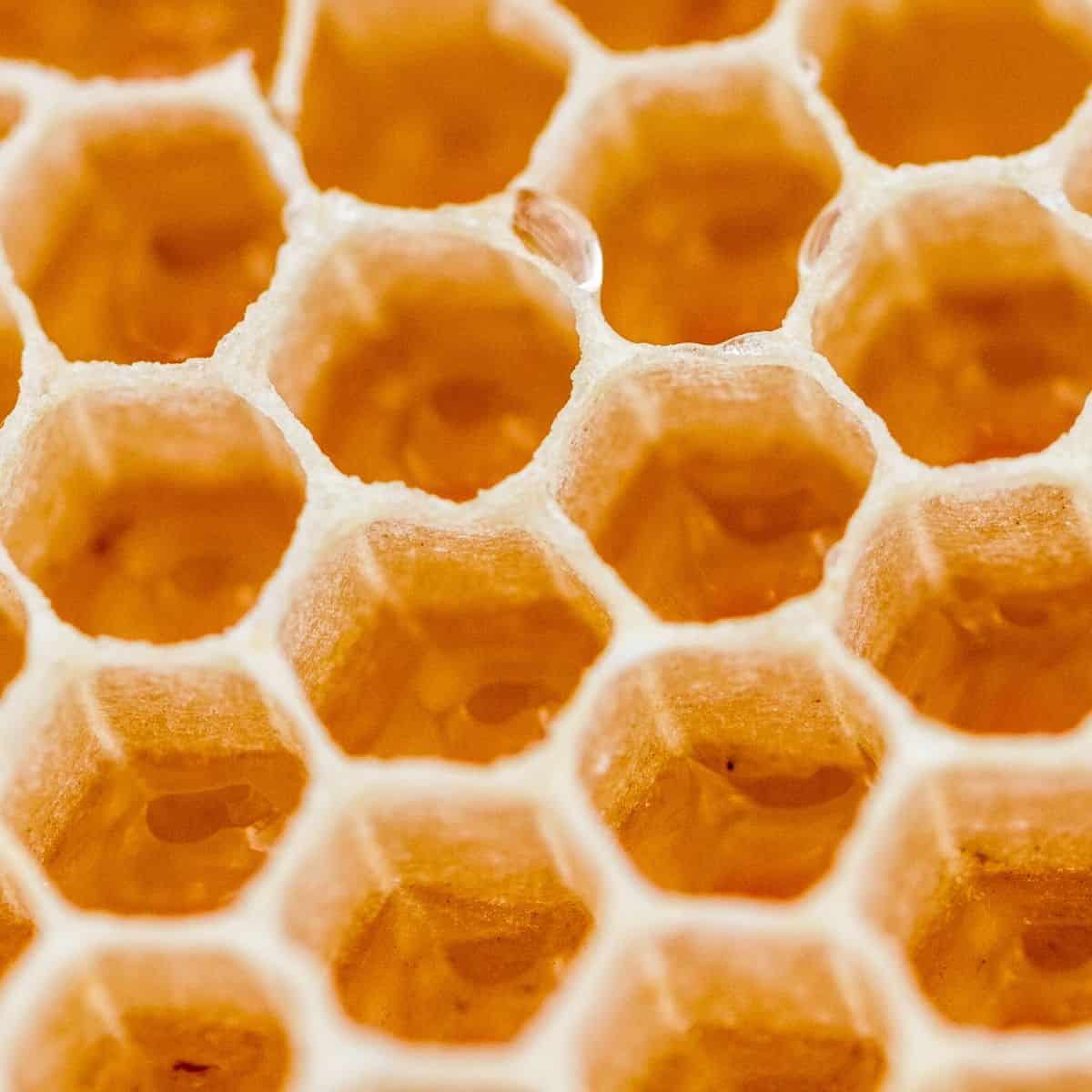 What Goes With Honey? - A Nourishing Plate