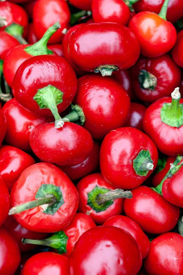 Bell Pepper Substitute: 8 Best Alternatives - A Nourishing Plate