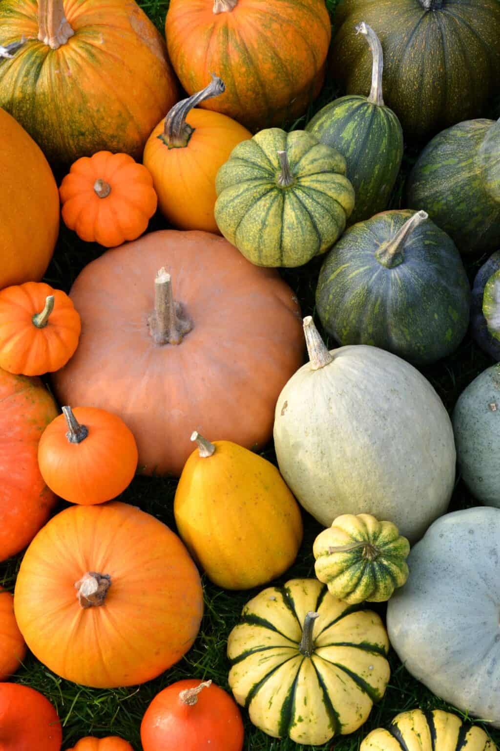 What Goes With Pumpkin? - A Nourishing Plate