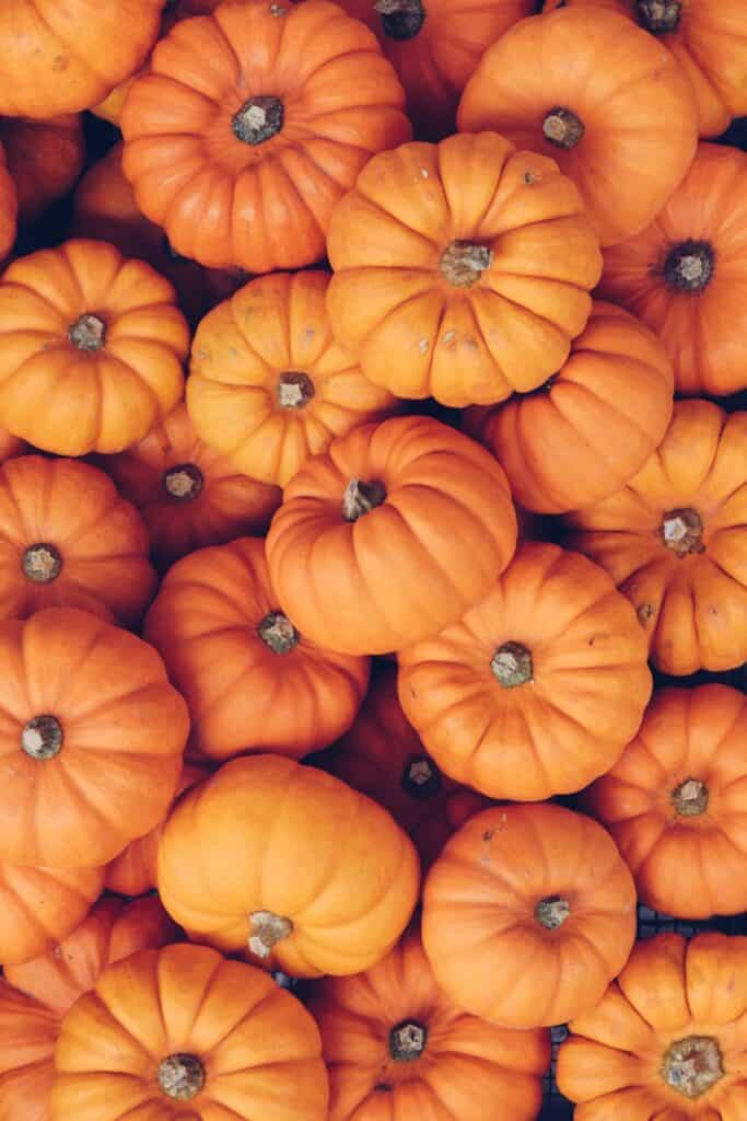 What Goes With Pumpkin? - A Nourishing Plate