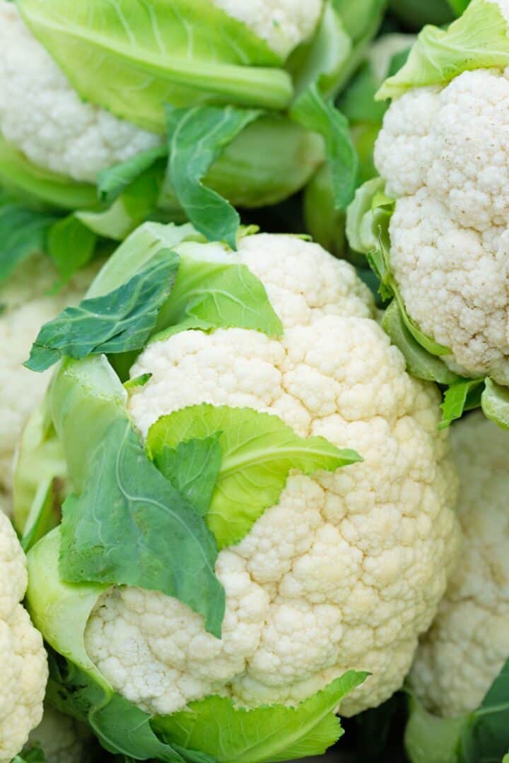 Eggplant Substitute: 9 Best Substitutes For Eggplant - A Nourishing Plate