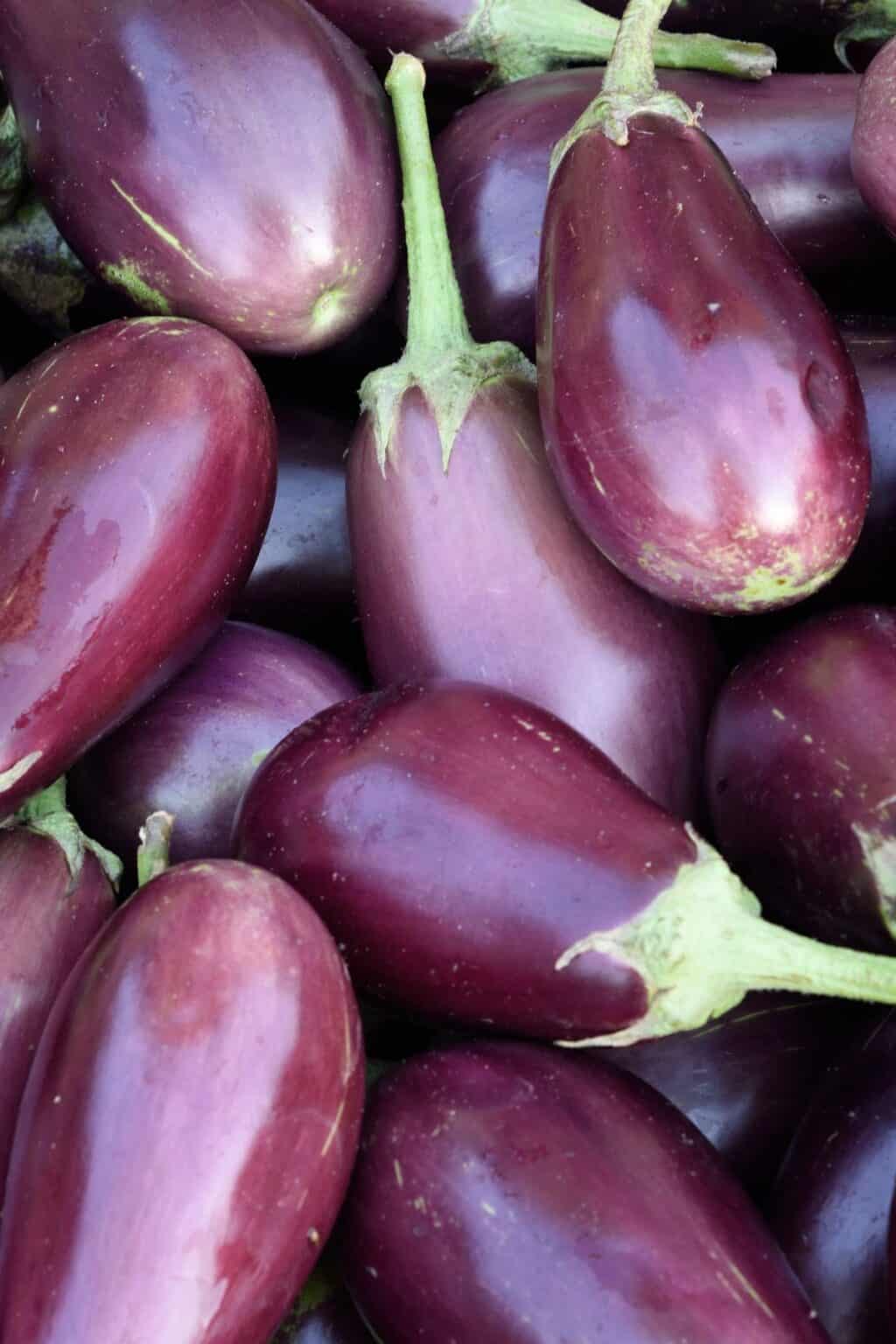 Eggplant Substitute: 9 Best Substitutes For Eggplant - A Nourishing Plate