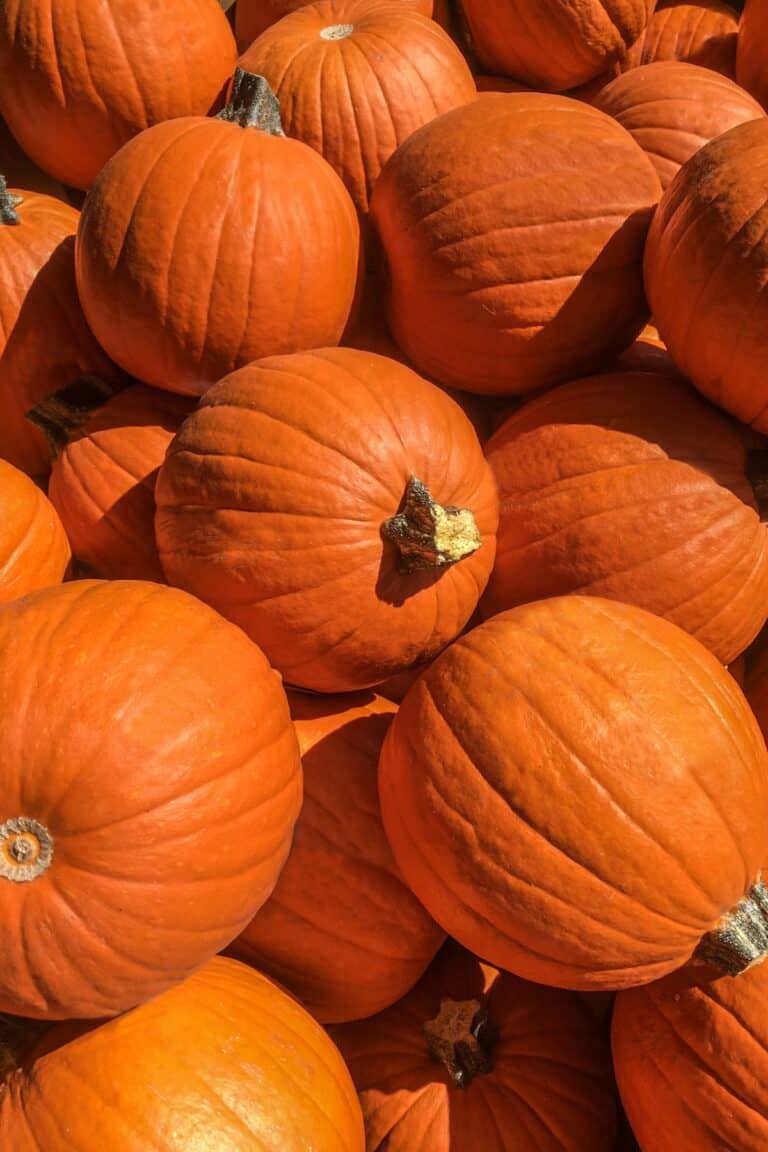 Best Butternut Squash Substitutes & When To Use Them - A Nourishing Plate