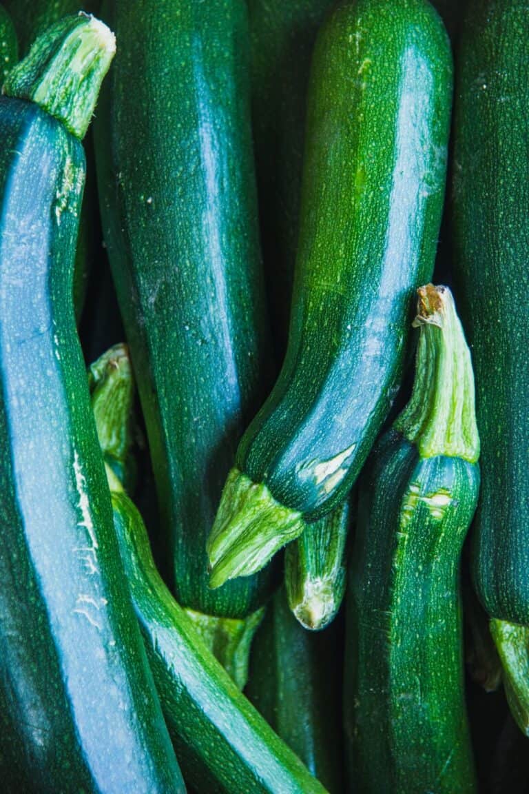 Eggplant Substitute: 9 Best Substitutes For Eggplant - A Nourishing Plate