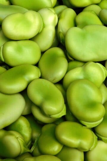 Best Substitutes For Butter Beans & When To Use Them - A Nourishing Plate